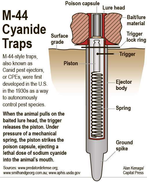 Poisons: Sodium Cyanide M-44 - Animal Alliance of Canada