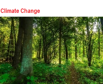 Climate-change-forest-image.-for-blog - Animal Alliance of Canada