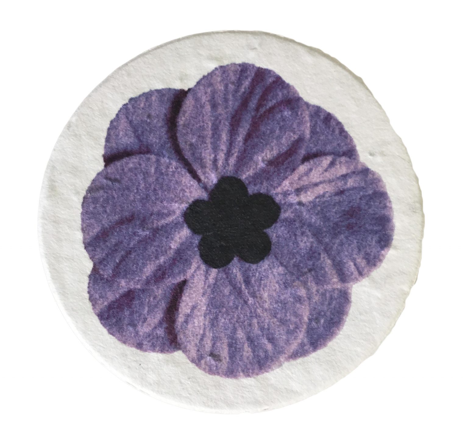 Animal Victims of War: Purple Poppy Campaign - Animal Alliance of Canada