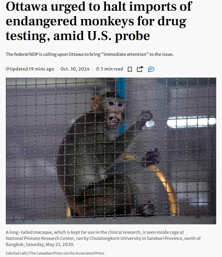 Ottawa urged to halt imports of endangered monkeys for drug testing ...