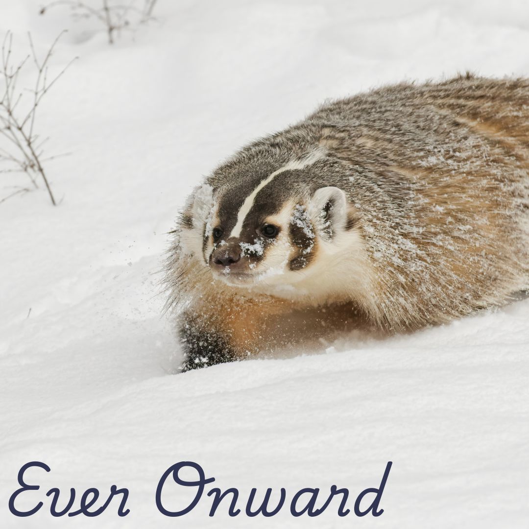 Ever Onward: Together, We Stand Strong - Animal Alliance of Canada